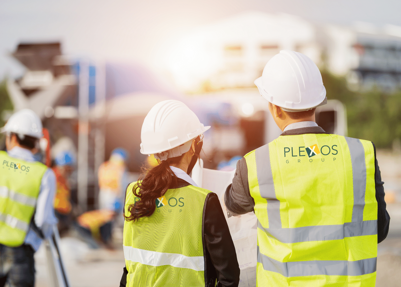 Mitigation | Disaster Response & Recovery | Plexos Group